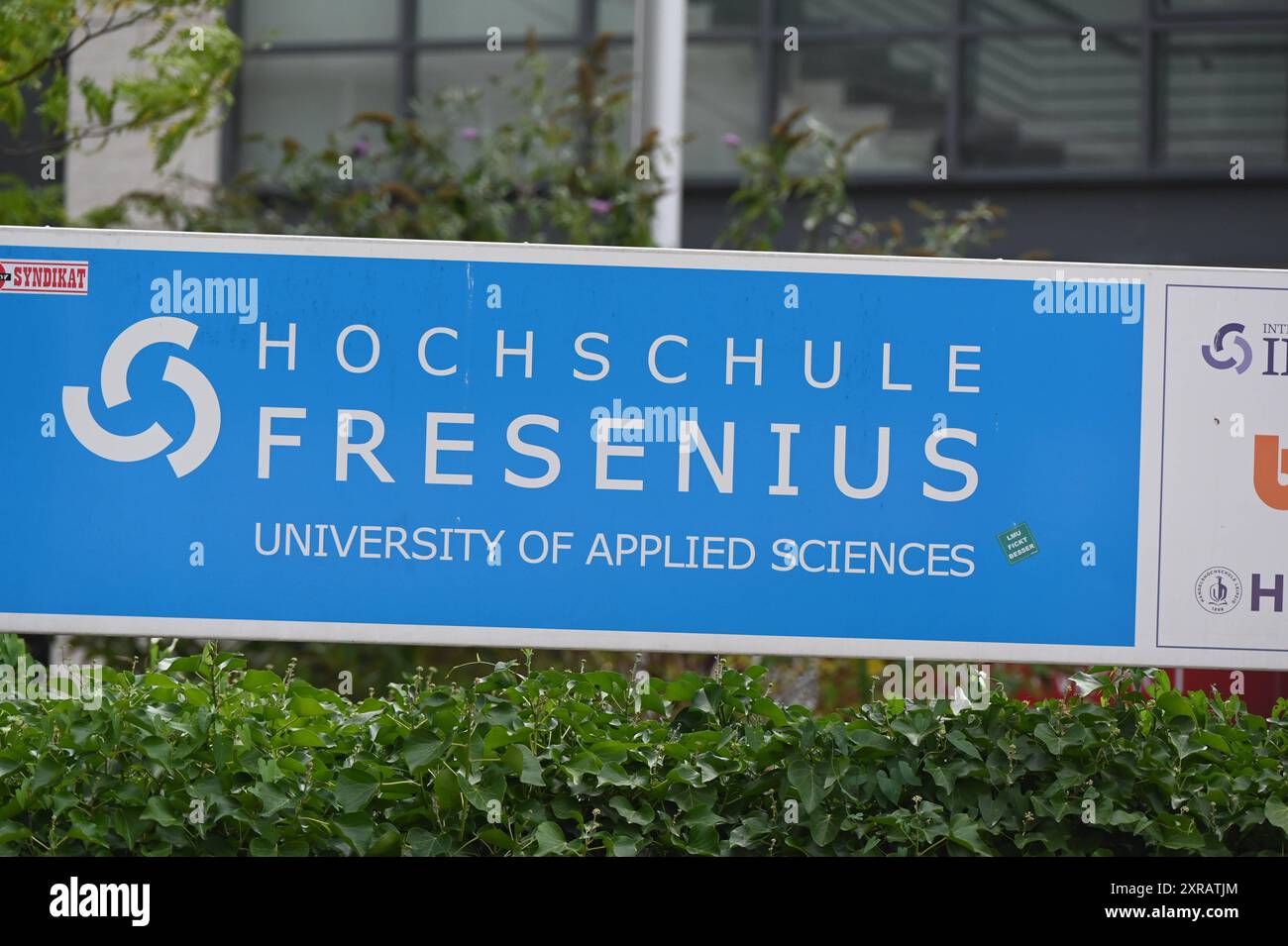 Logo, Schriftzug der privaten Hochschule Fresenius *** Logo, lettering of the private Fresenius ...