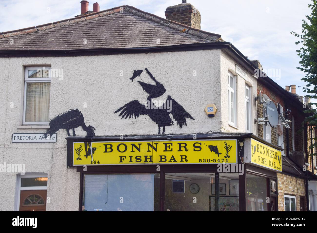 Another new Banksy artwork, depicting a pair of pelicans eating fish ...