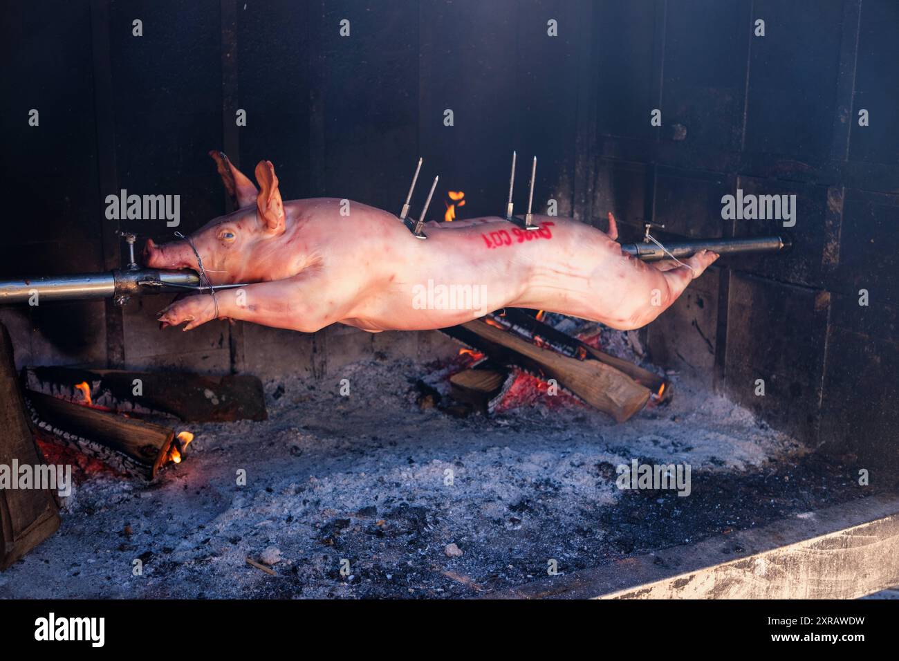Suckling pig skewered on a rotating rod over the embers of a barbecue ...