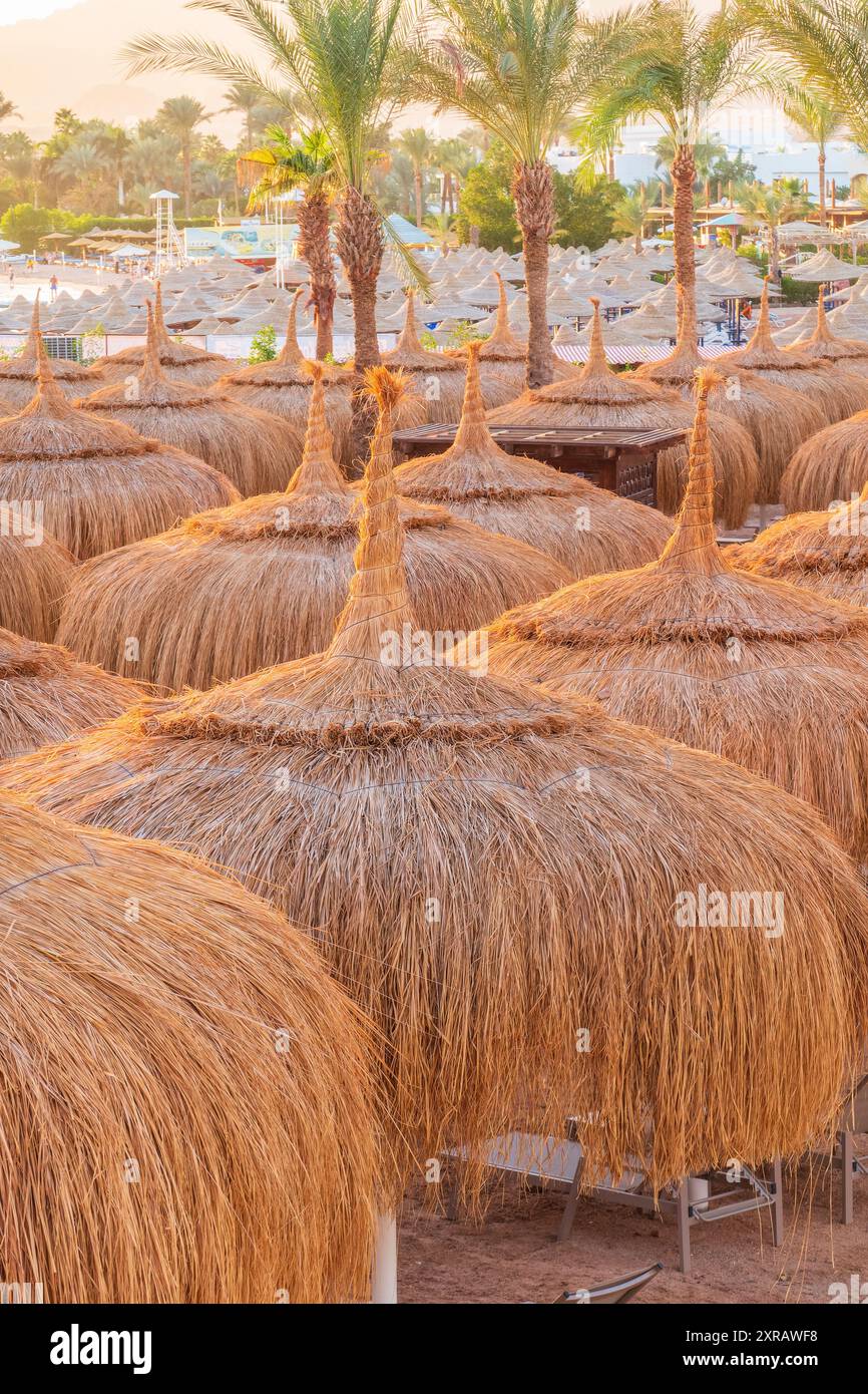 Straw umbrellas on empty beach. Beautiful empty beach with sun ...