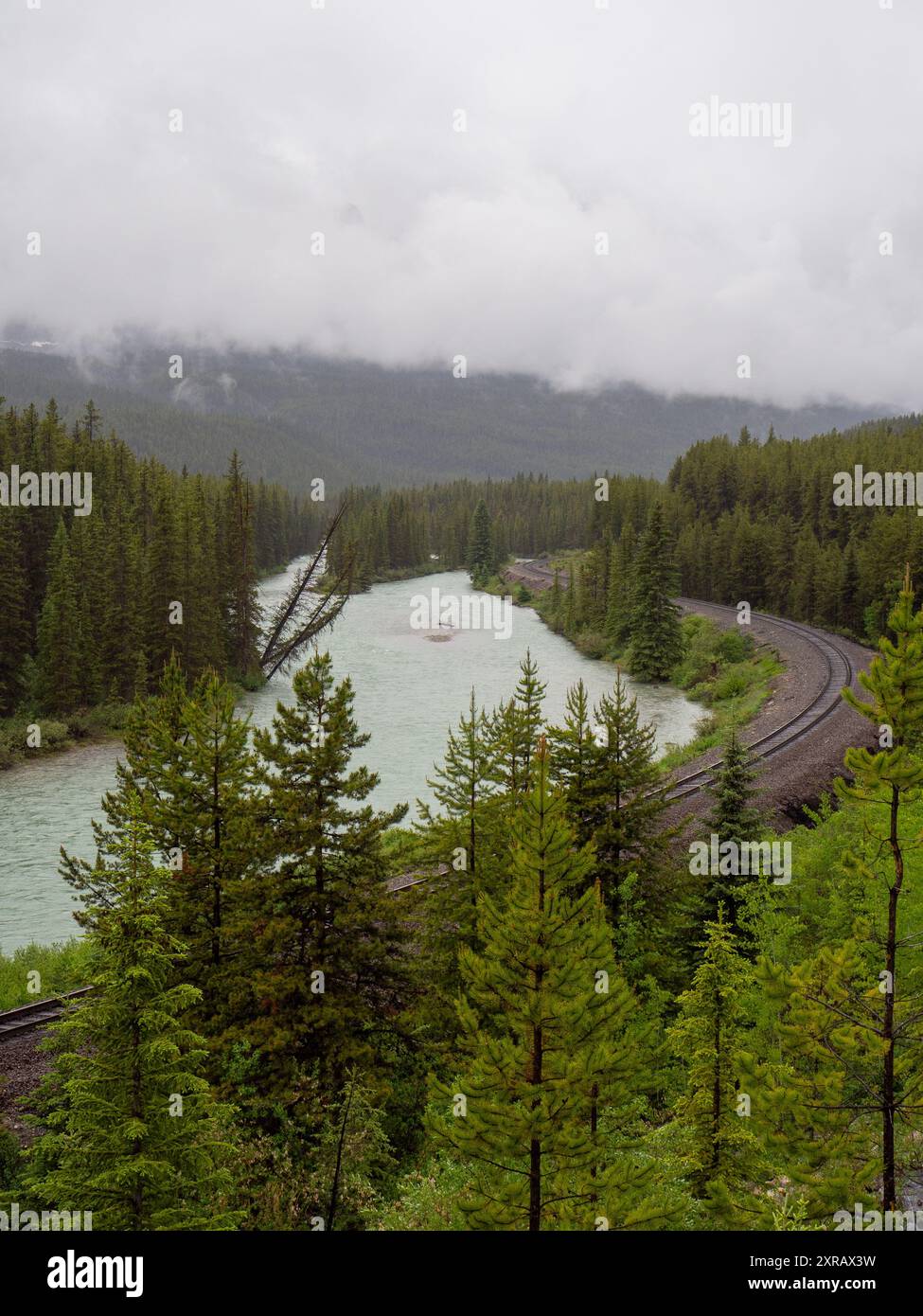 Morant's Curve, Bow River, Alberta, Canada Stock Photo - Alamy