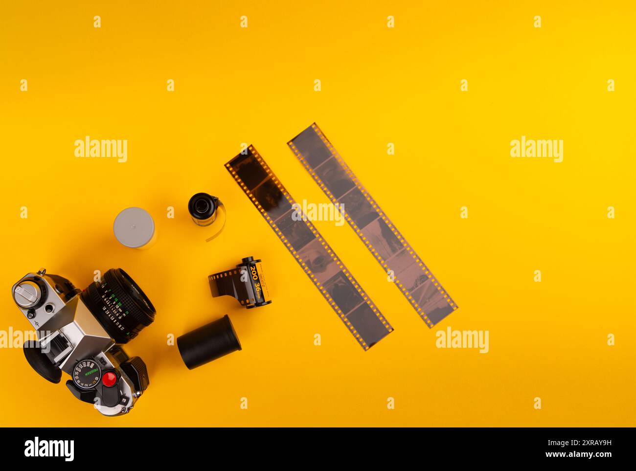 Backgroundcolor hi-res stock photography and images - Alamy