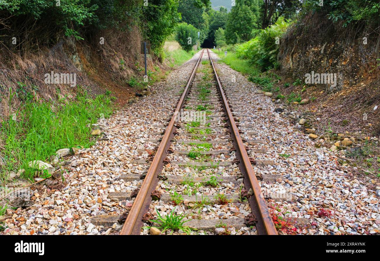 Perspective view of the railroad tracks on a dead and abandoned track ...