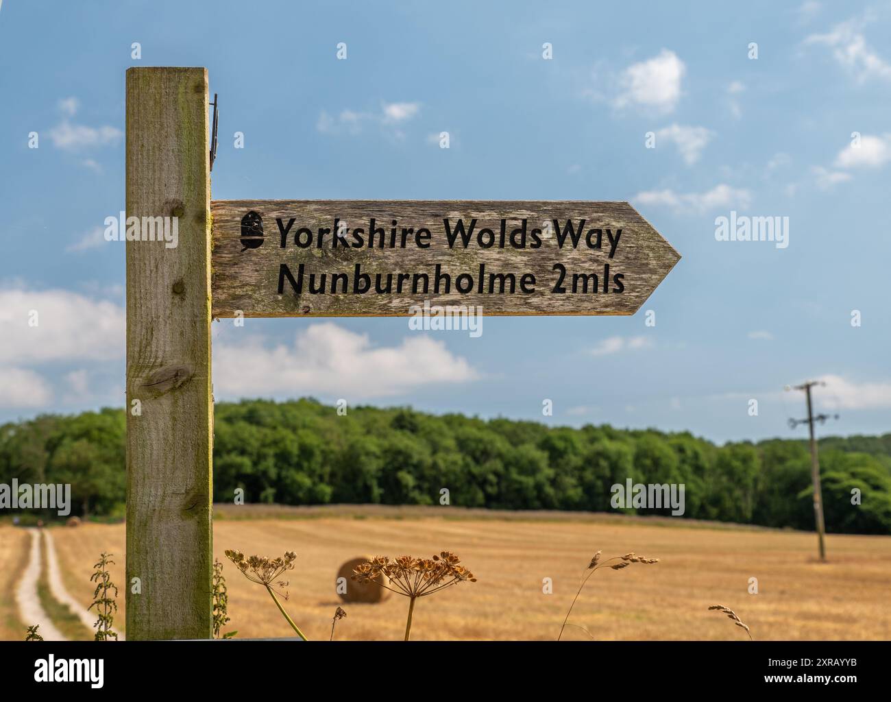 Wooden signs on walking route hi-res stock photography and images - Alamy