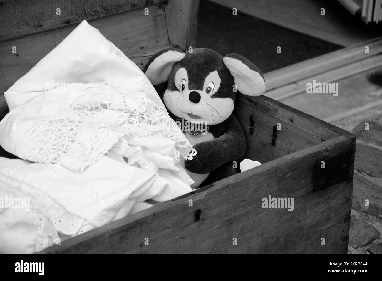 Old lace in wooden chest and vintage plush mouse toy at the entry to ...