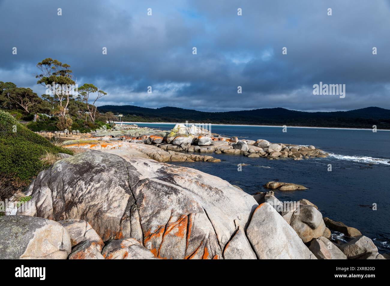 An early morning setting with a lone tree on a small headland at a ...