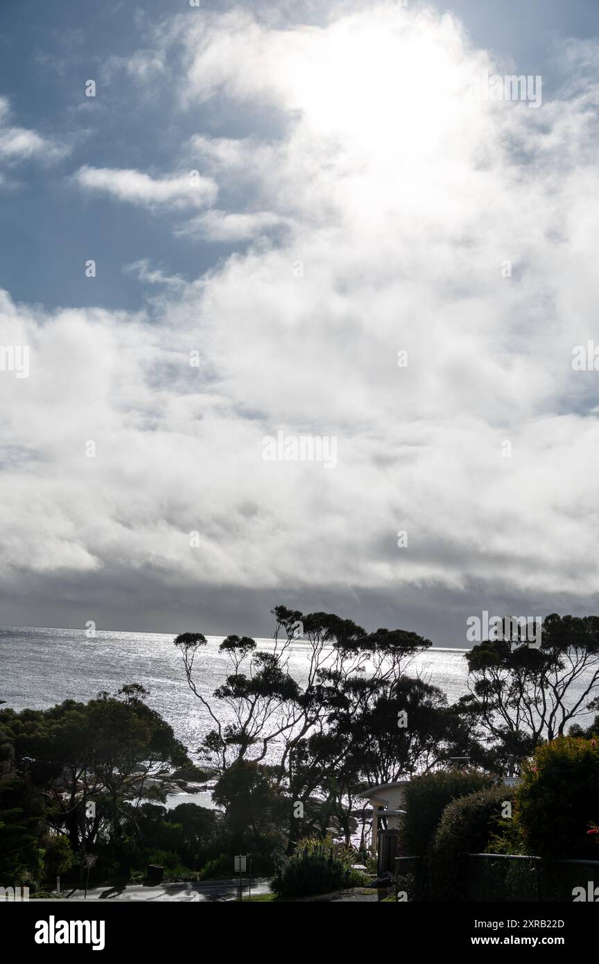 Tasmanian treescape hi-res stock photography and images - Alamy