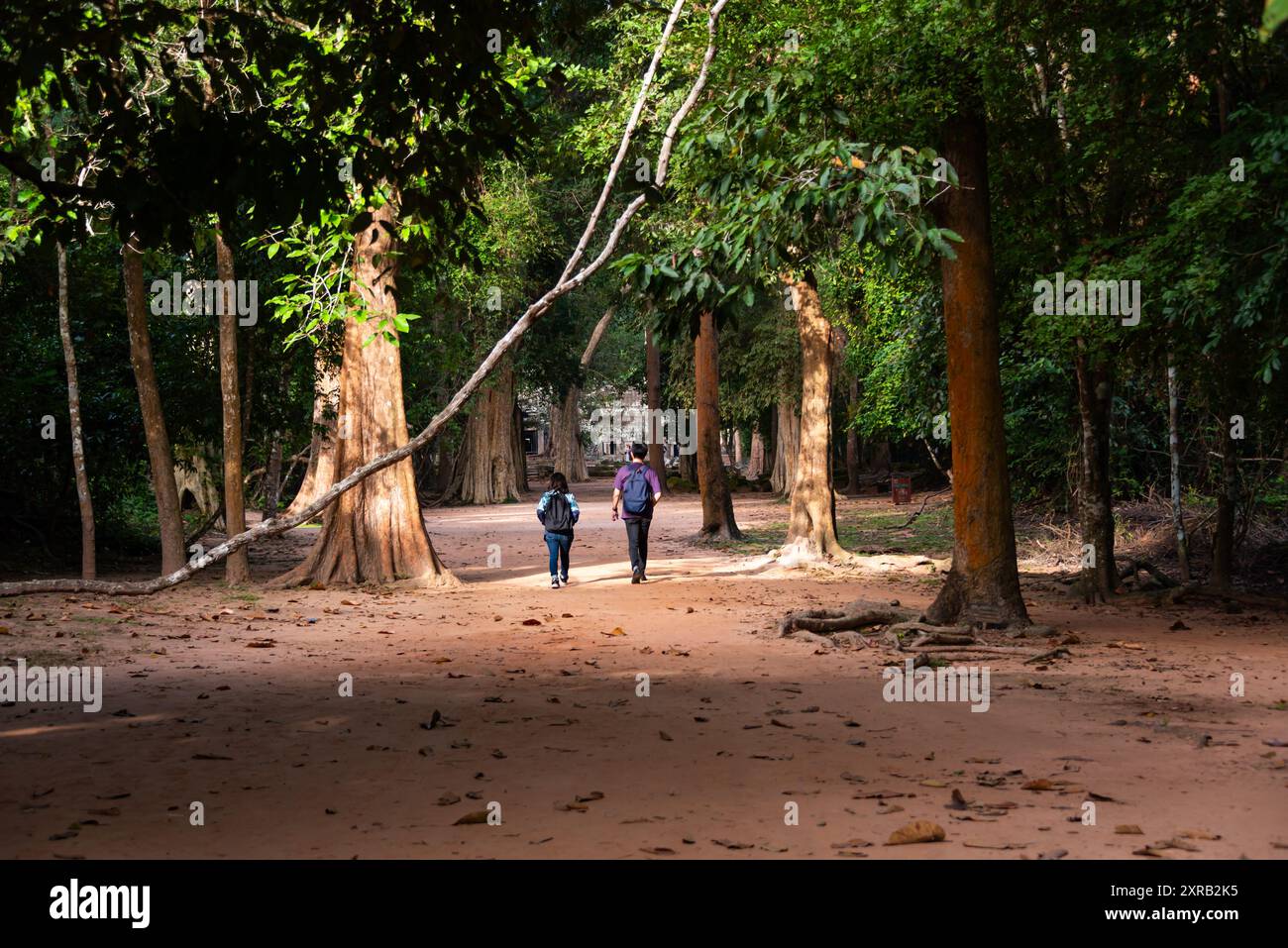 People walking through jungle to ancient temple ruins in Cambodia Stock ...