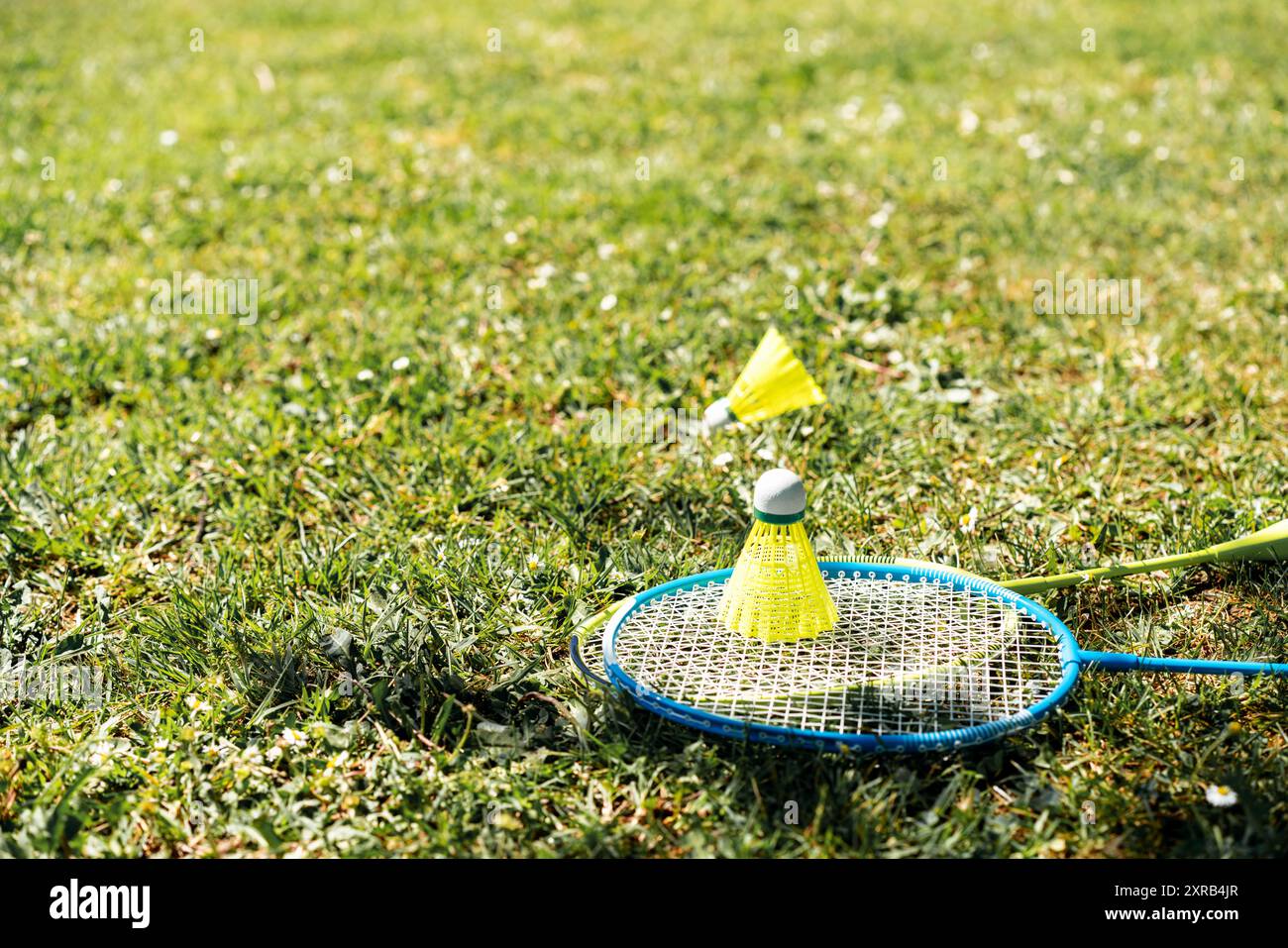 badminton rackets and shuttlecocks on green grass Stock Photo - Alamy
