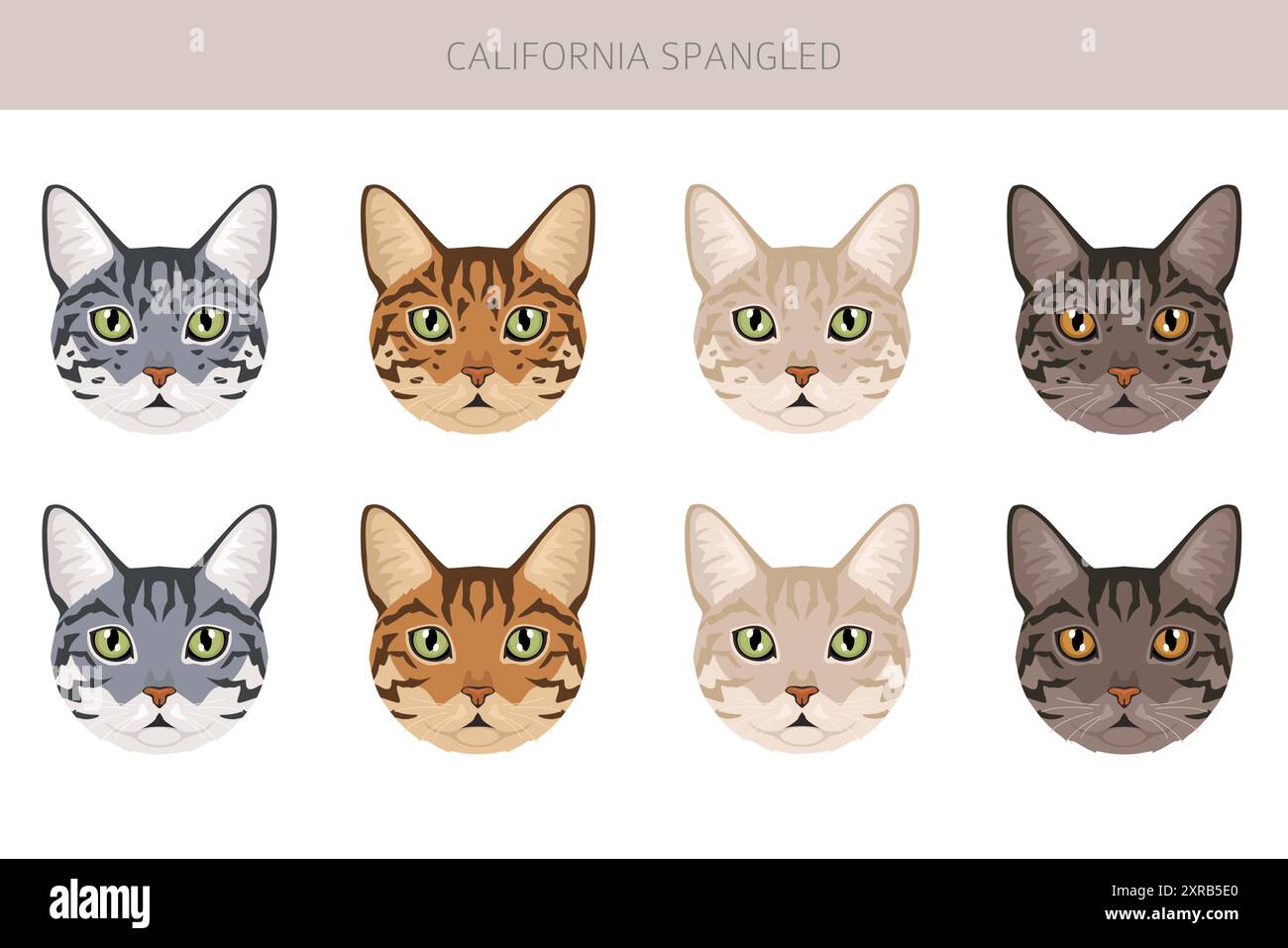 Califoria Spangled Cat clipart. All coat colors set. All cat breeds ...