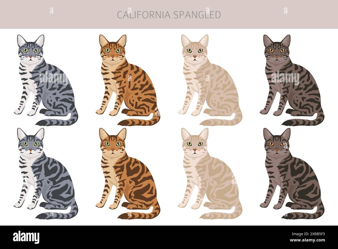 Califoria Spangled Cat clipart. All coat colors set. All cat breeds ...