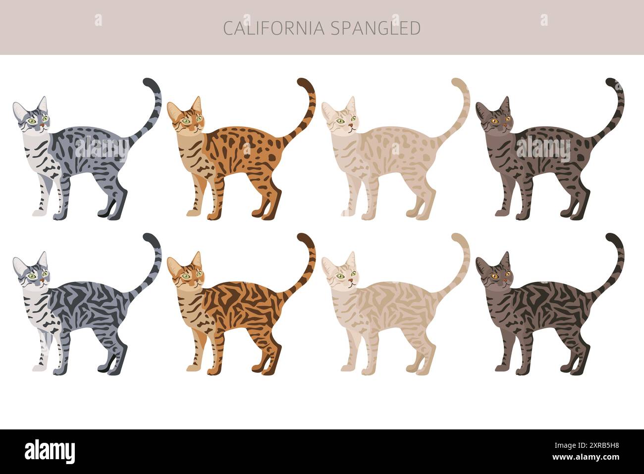 Califoria Spangled Cat clipart. All coat colors set. All cat breeds ...