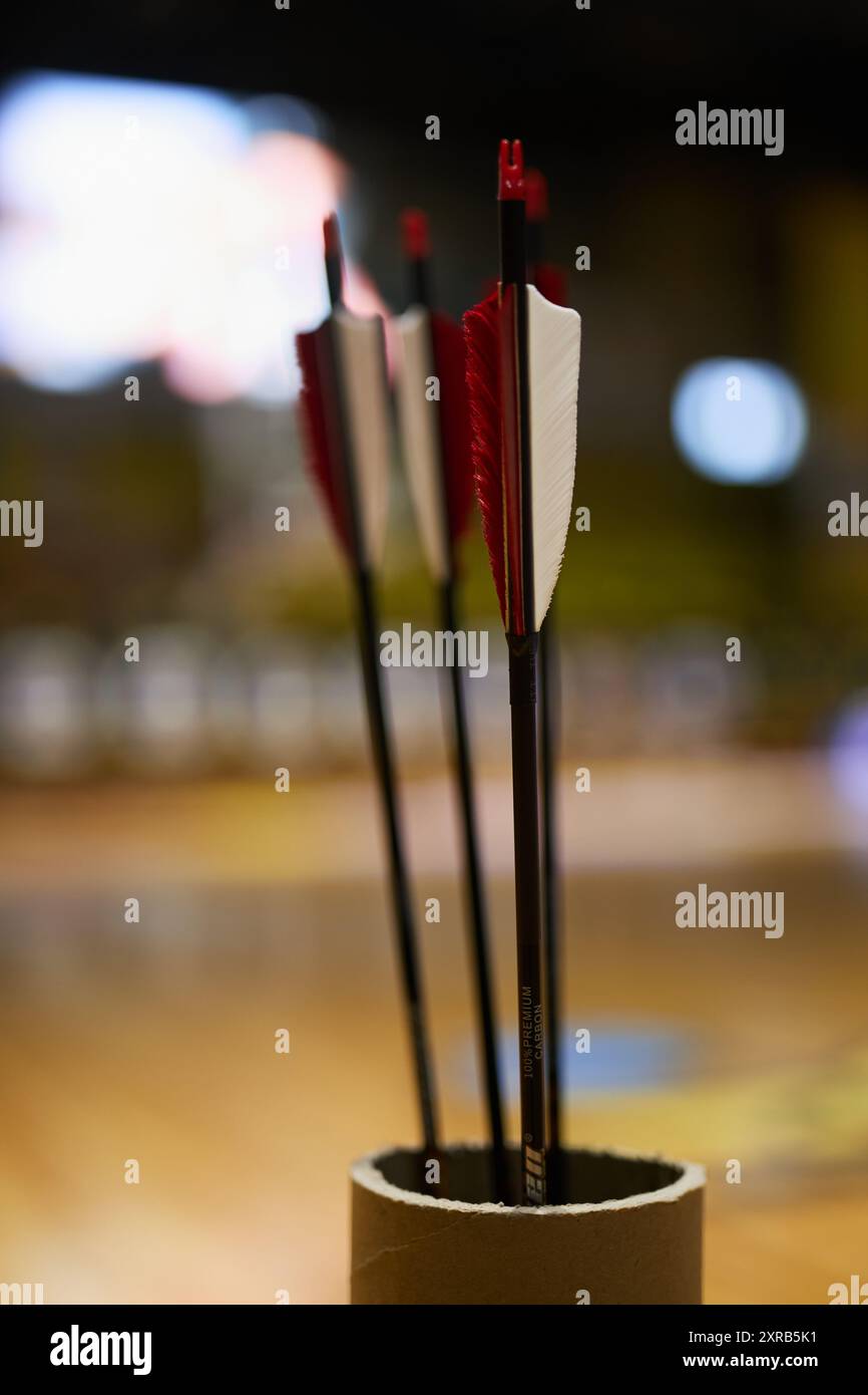 Arrows in quiver. Professional archery equipment for target shooting ...