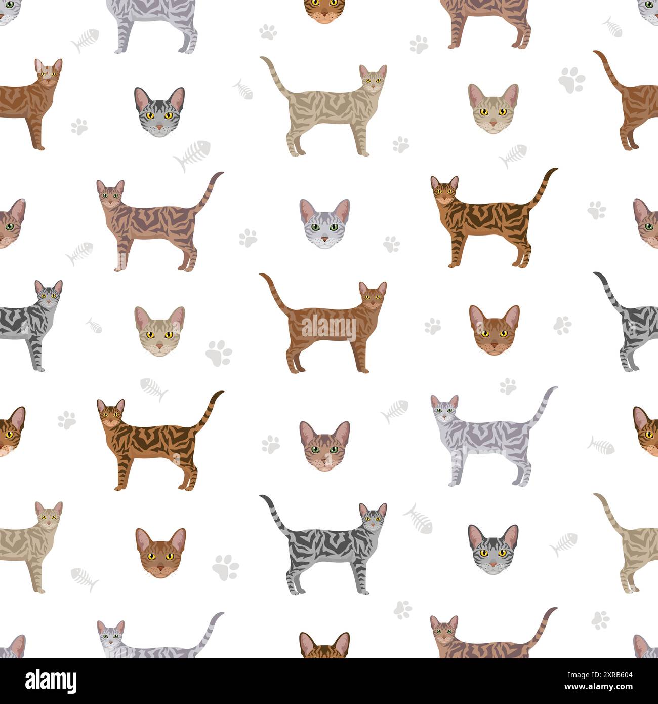 Classicat, Jungala Cat seamless pattern. All coat colors set. All cat ...