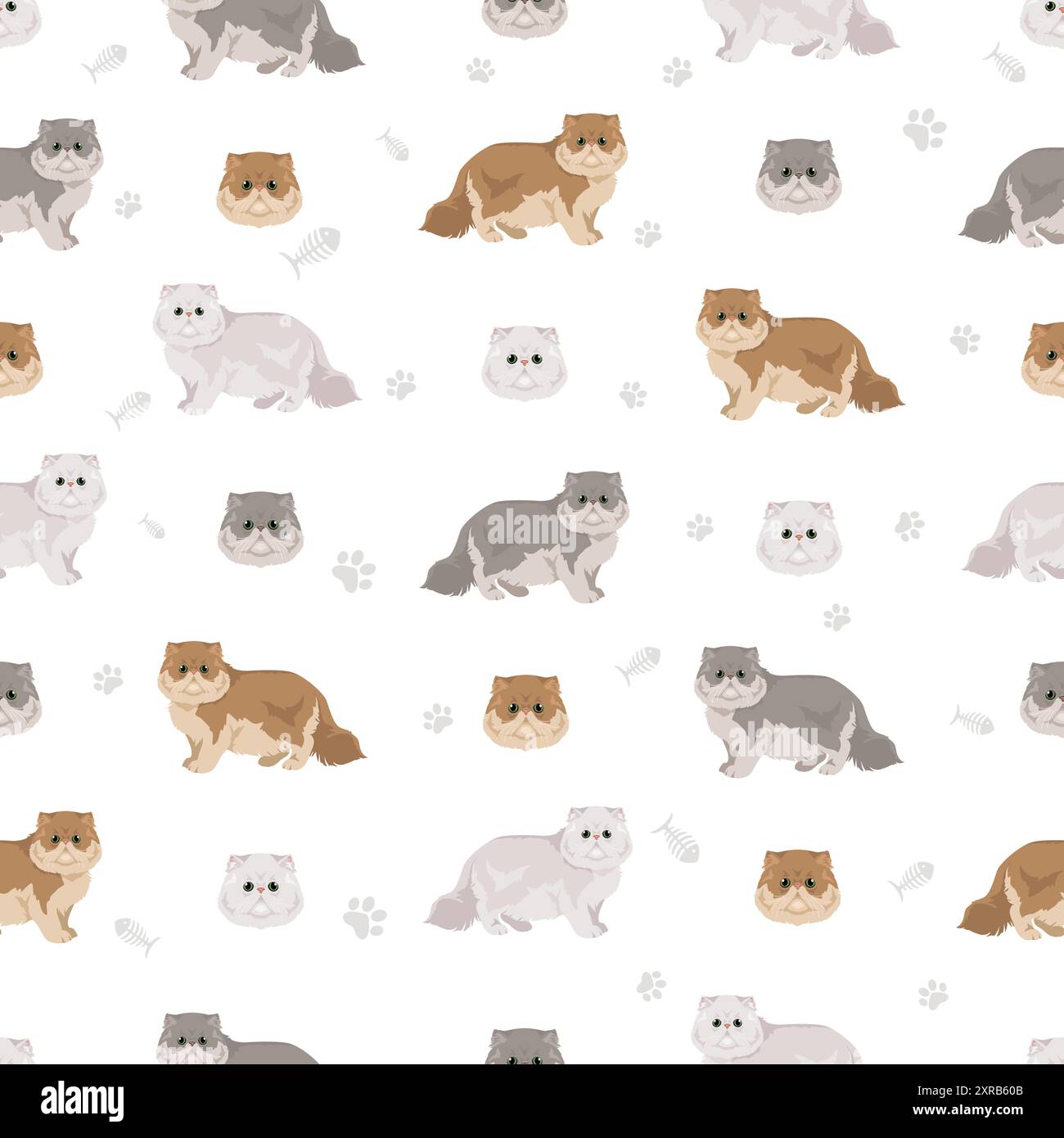Chinchilla Persian Longhair Modern Cat seamless pattern. All coat ...