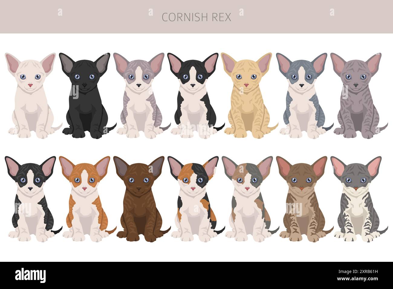 Cornish Rex Cat clipart. All coat colors set. All cat breeds ...