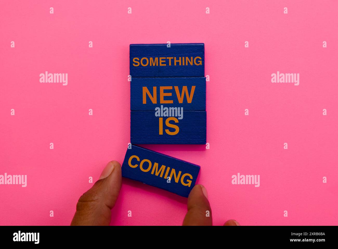 Excitement builds as the final piece reveals the message "Something New ...