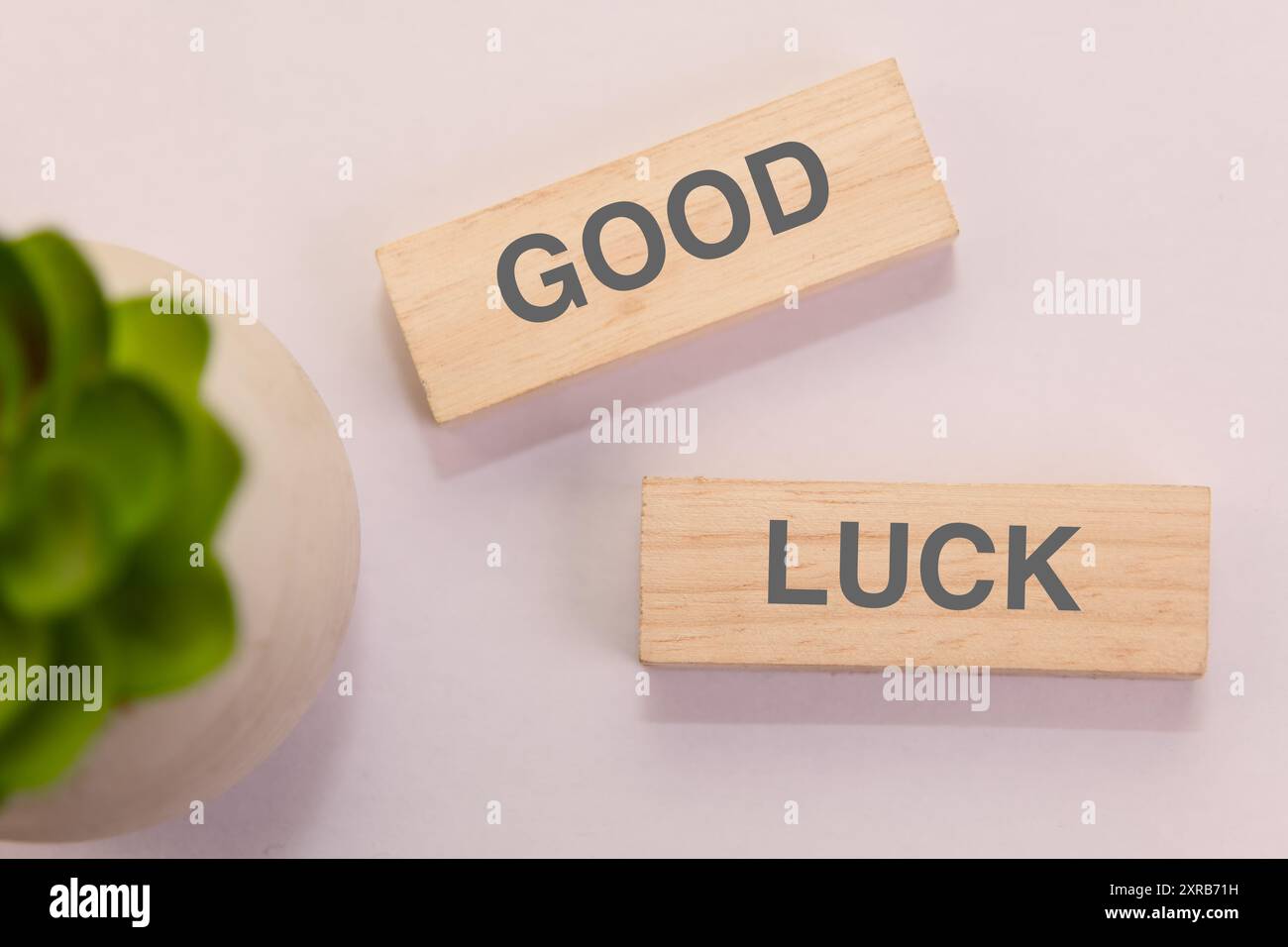 Wooden blocks spell "Good Luck" next to a green succulent, a minimalist ...