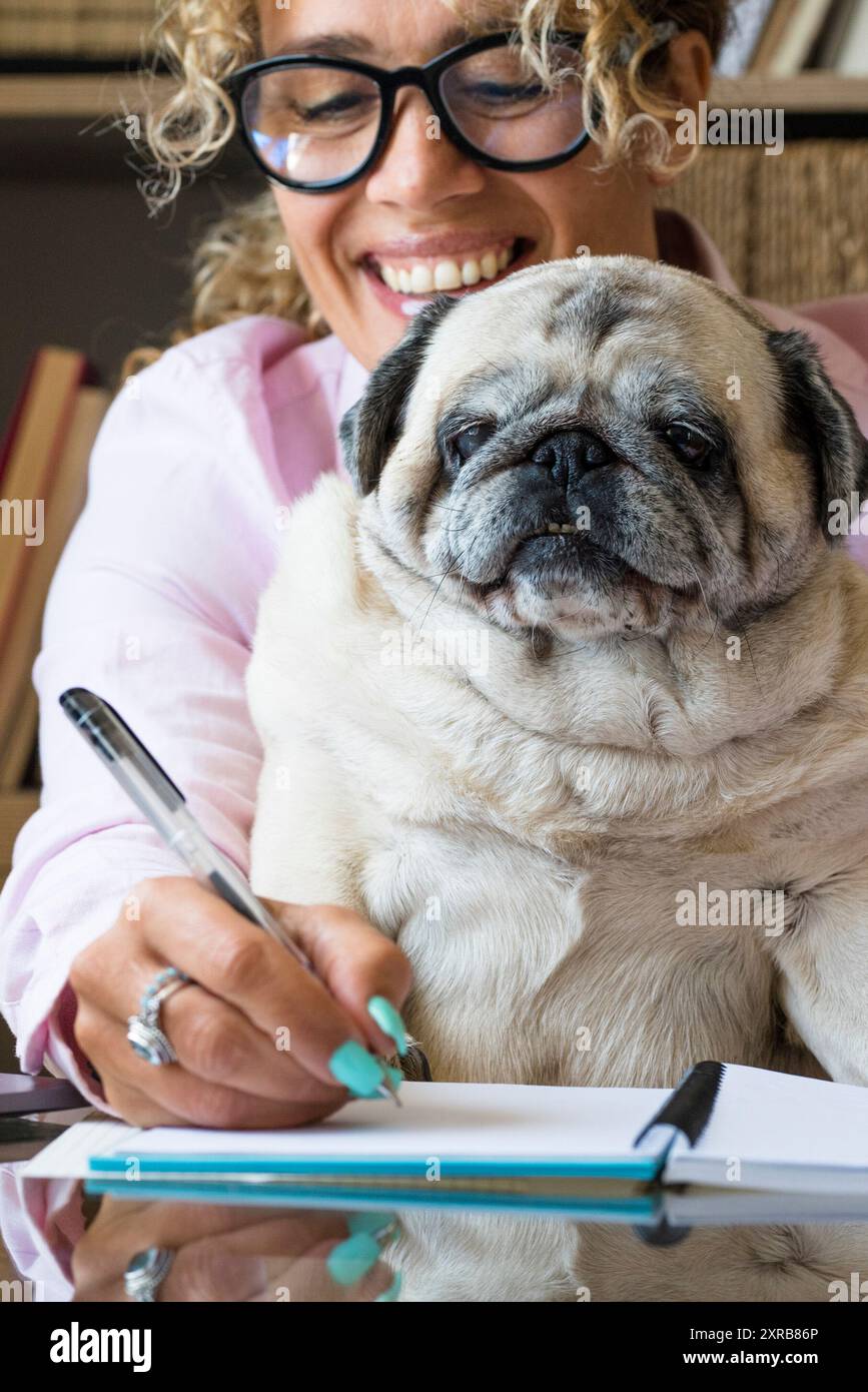 Pug at work hi-res stock photography and images - Alamy