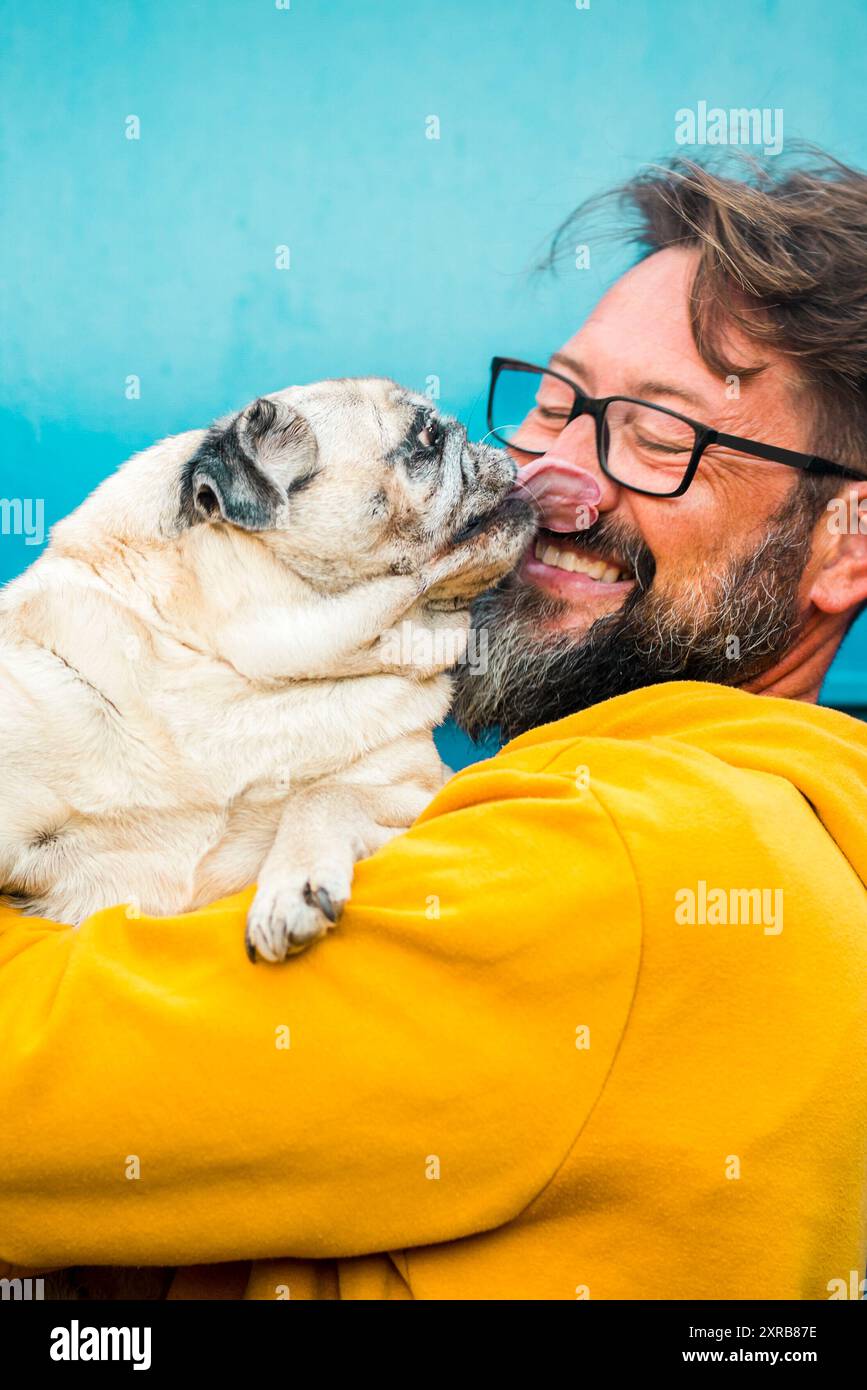 Adorable mature pug dog hi-res stock photography and images - Alamy
