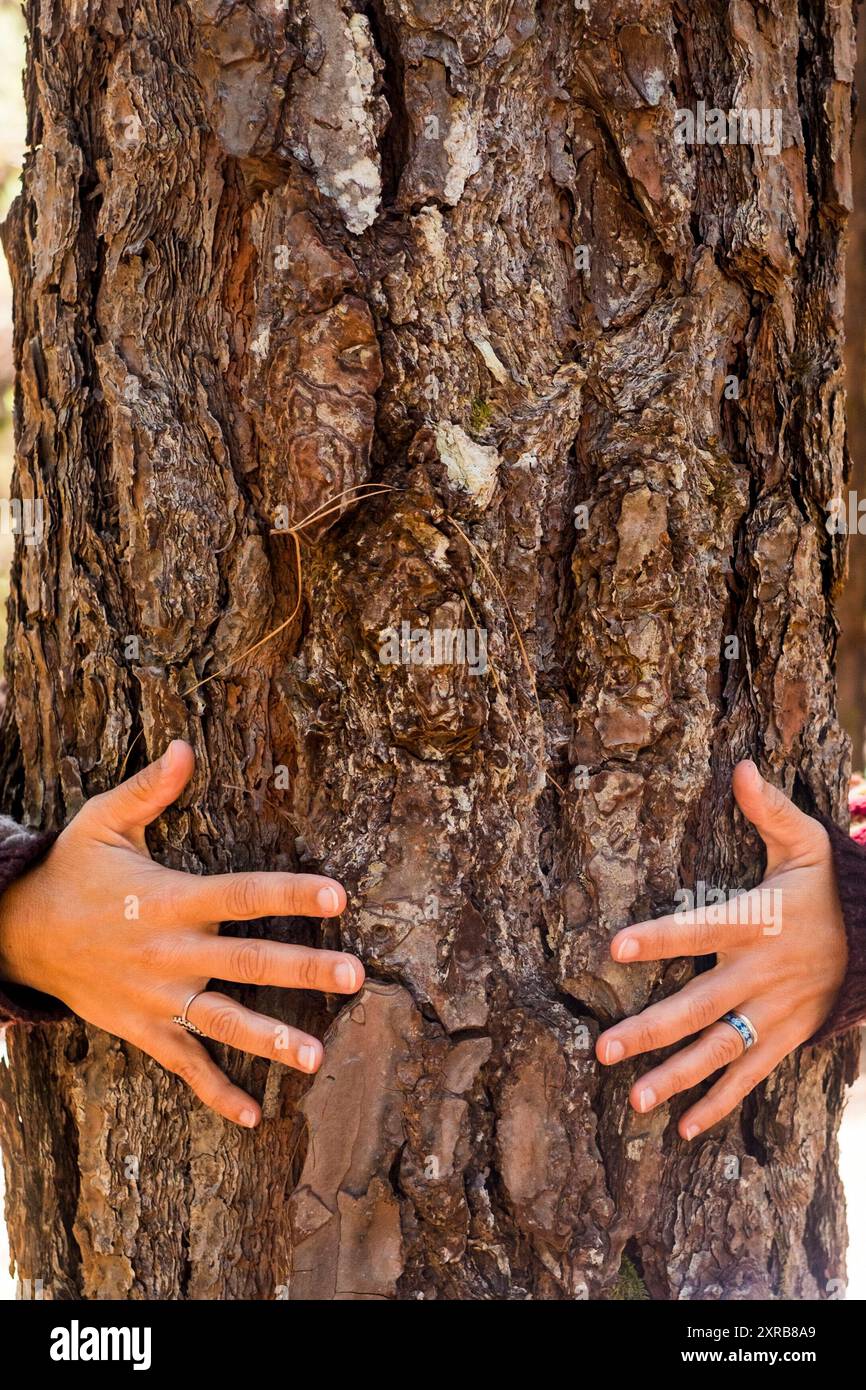 Save world earth and safe forest from deforestation - care environemtn ...