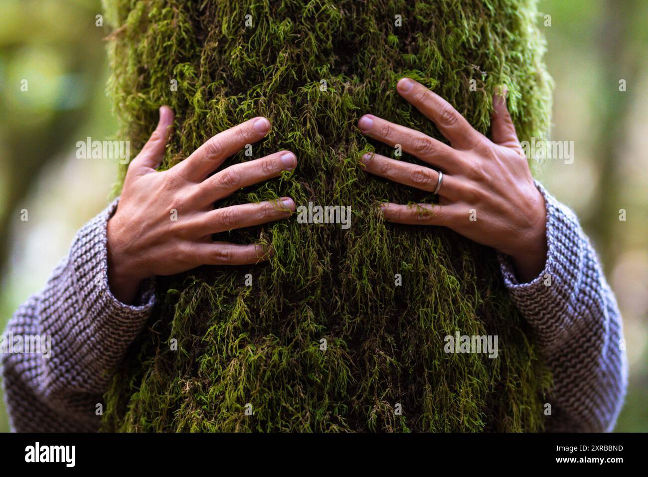 One woman embrace a trunk tree cover of green musk to celebrate nature ...
