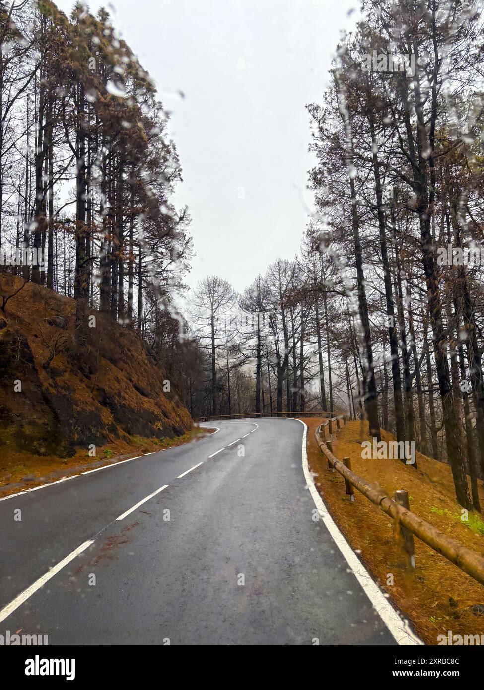 Scenic road in rainy bad weather. Travel concept with long straight ...