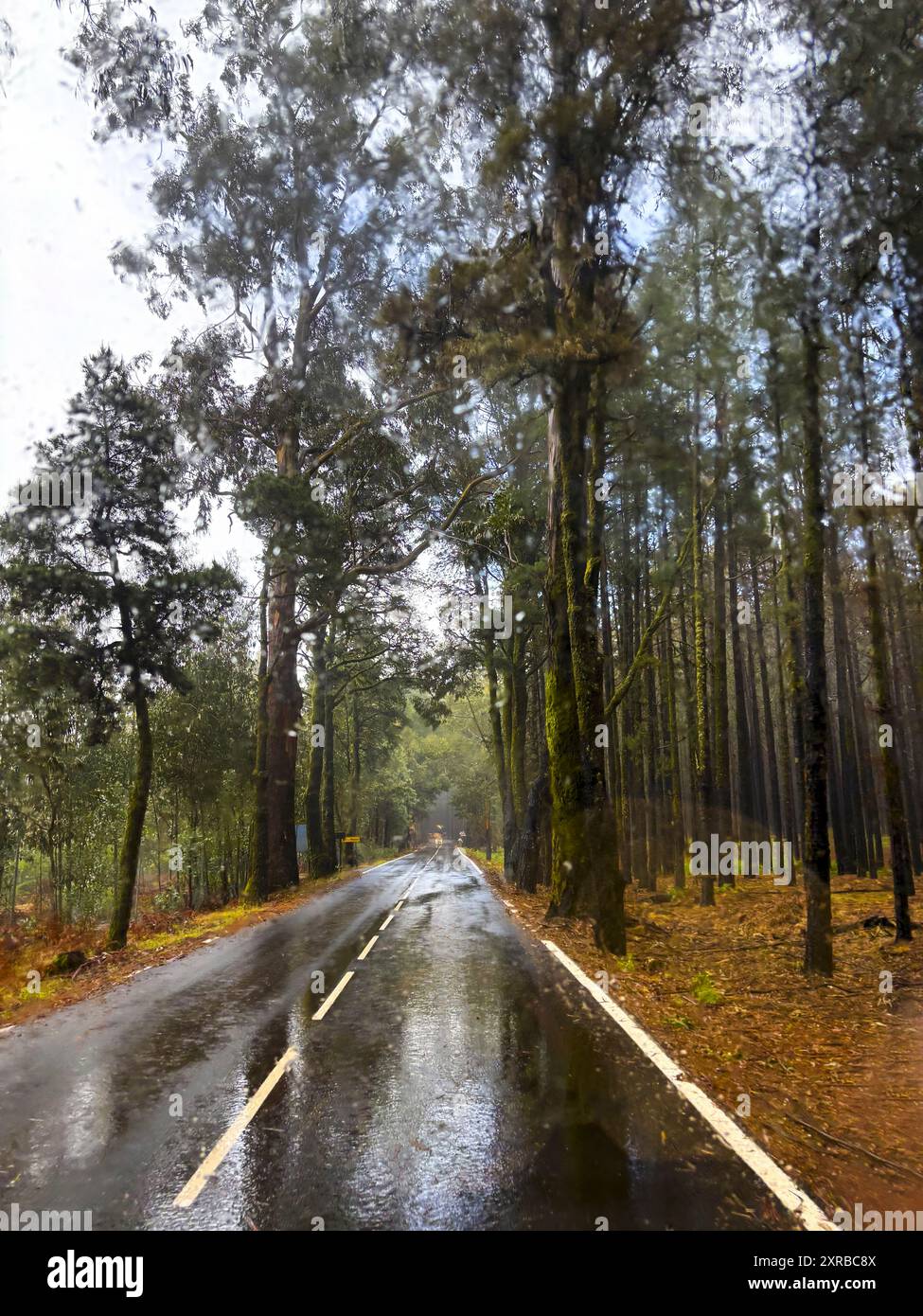 Scenic road in rainy bad weather. Travel concept with long straight ...