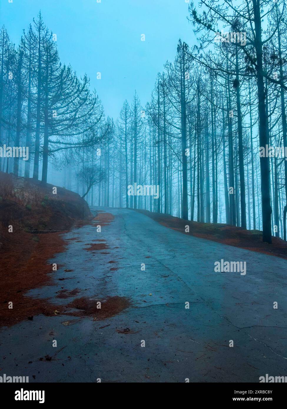 Scenic road in rainy bad weather. Travel concept with long straight ...