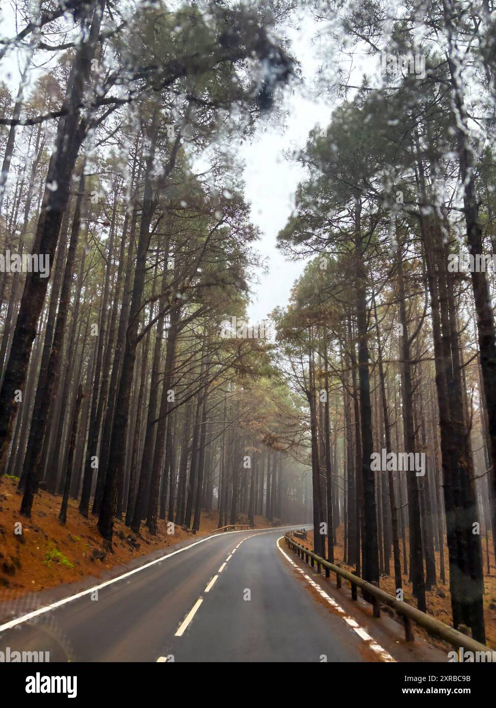 Scenic road in rainy bad weather. Travel concept with long straight ...