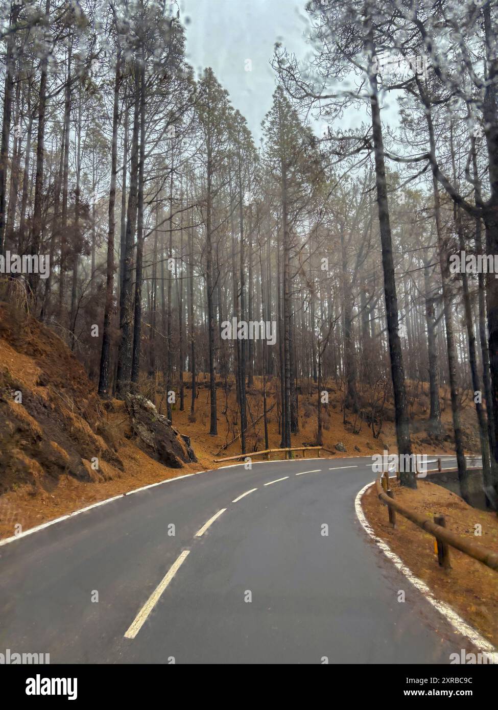 Scenic road in rainy bad weather. Travel concept with long straight ...