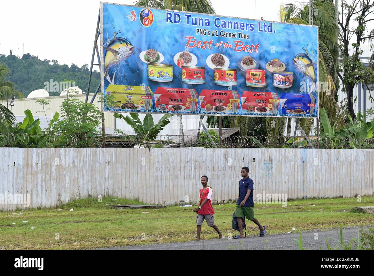 PAPUA NEW GUINEA, Madang, RD TUNA CANNERS Ltd, tuna canning factory for ...