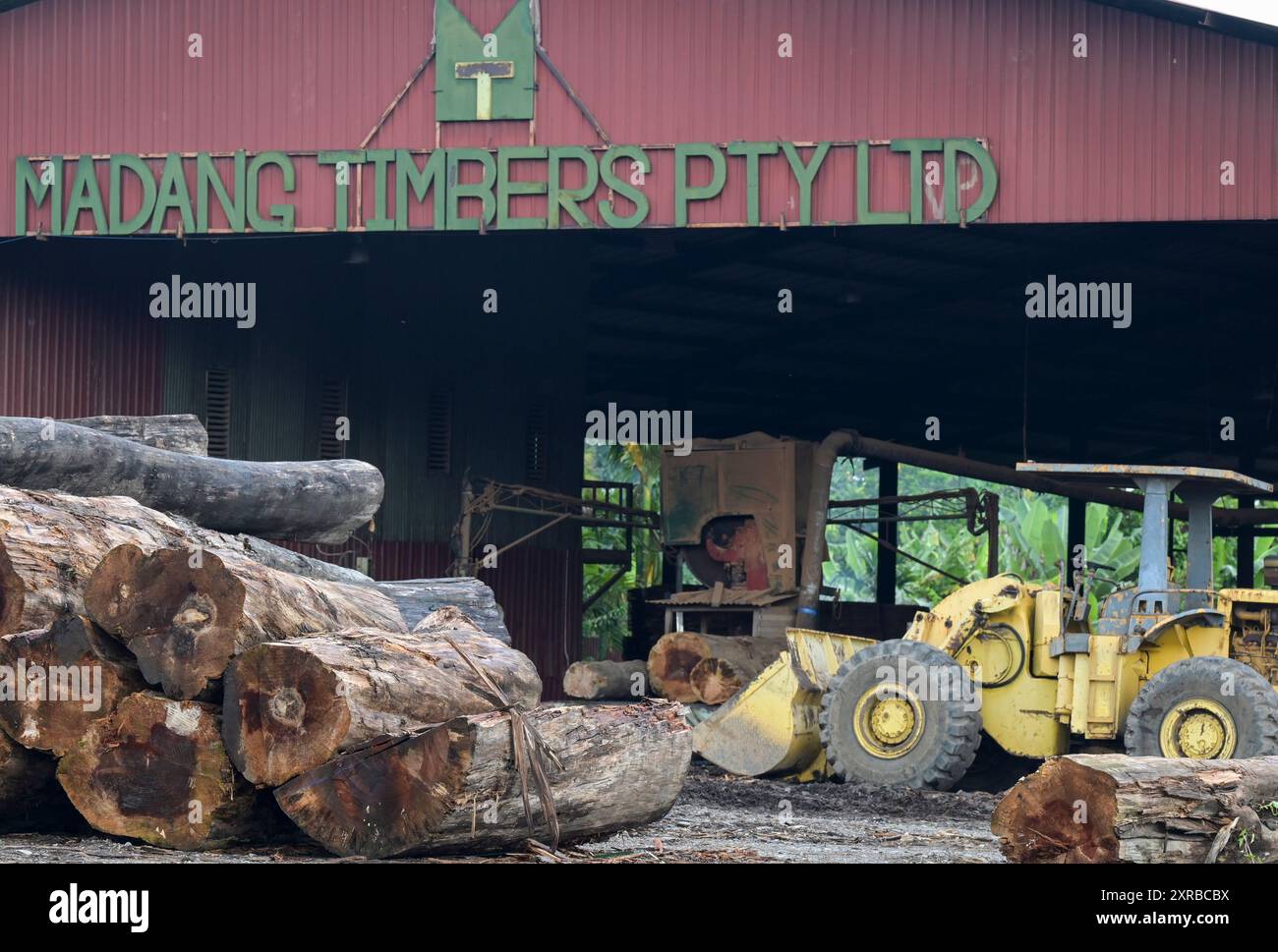 PAPUA NEW GUINEA, Madang, logging company Madang Timbers Pty. Ltd ...