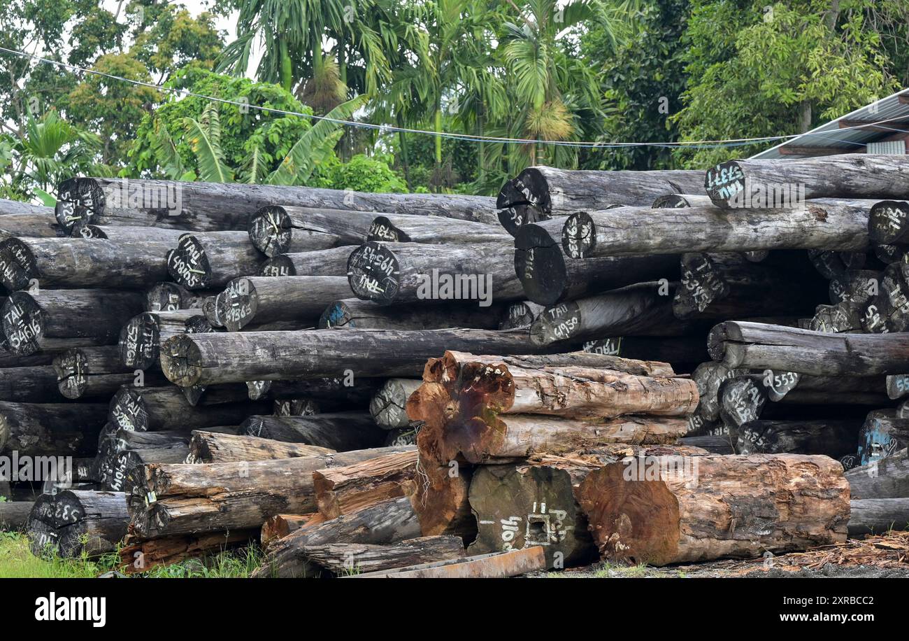 Kumil logging project hi-res stock photography and images - Alamy