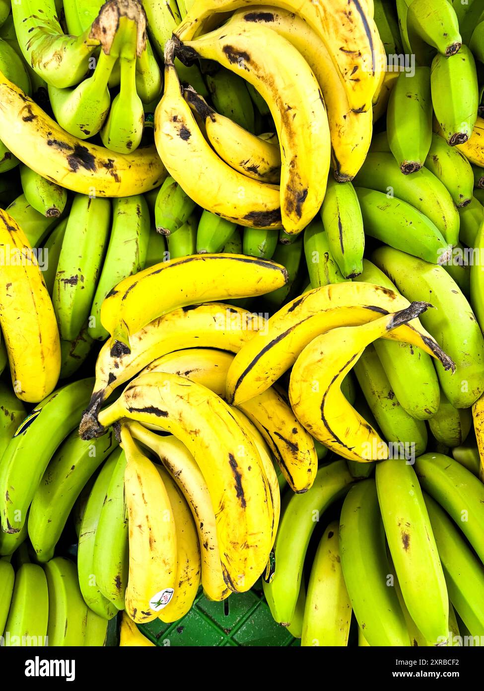 Fresh banana yellow background in the fruit market Stock Photo - Alamy