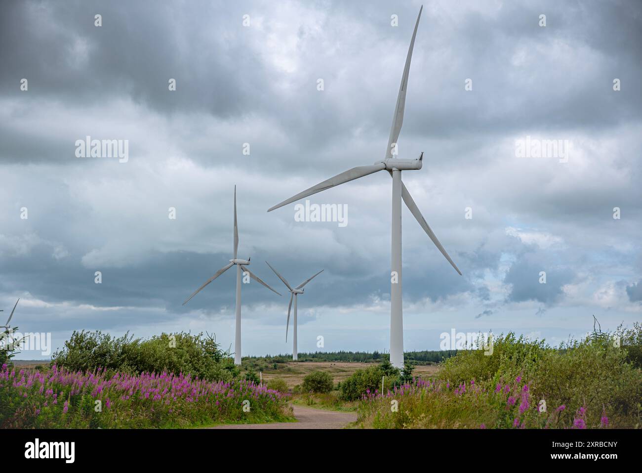 Landscape photography of wind turbines, windmill, wind power, power ...