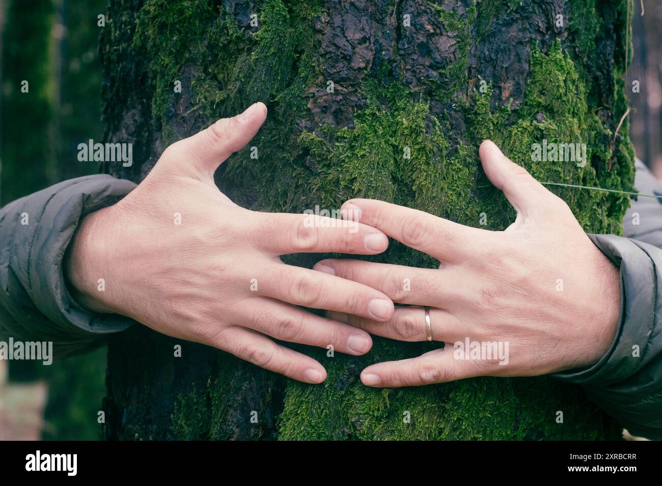 Nature lover hugging trunk tree with green musk in tropical woods ...