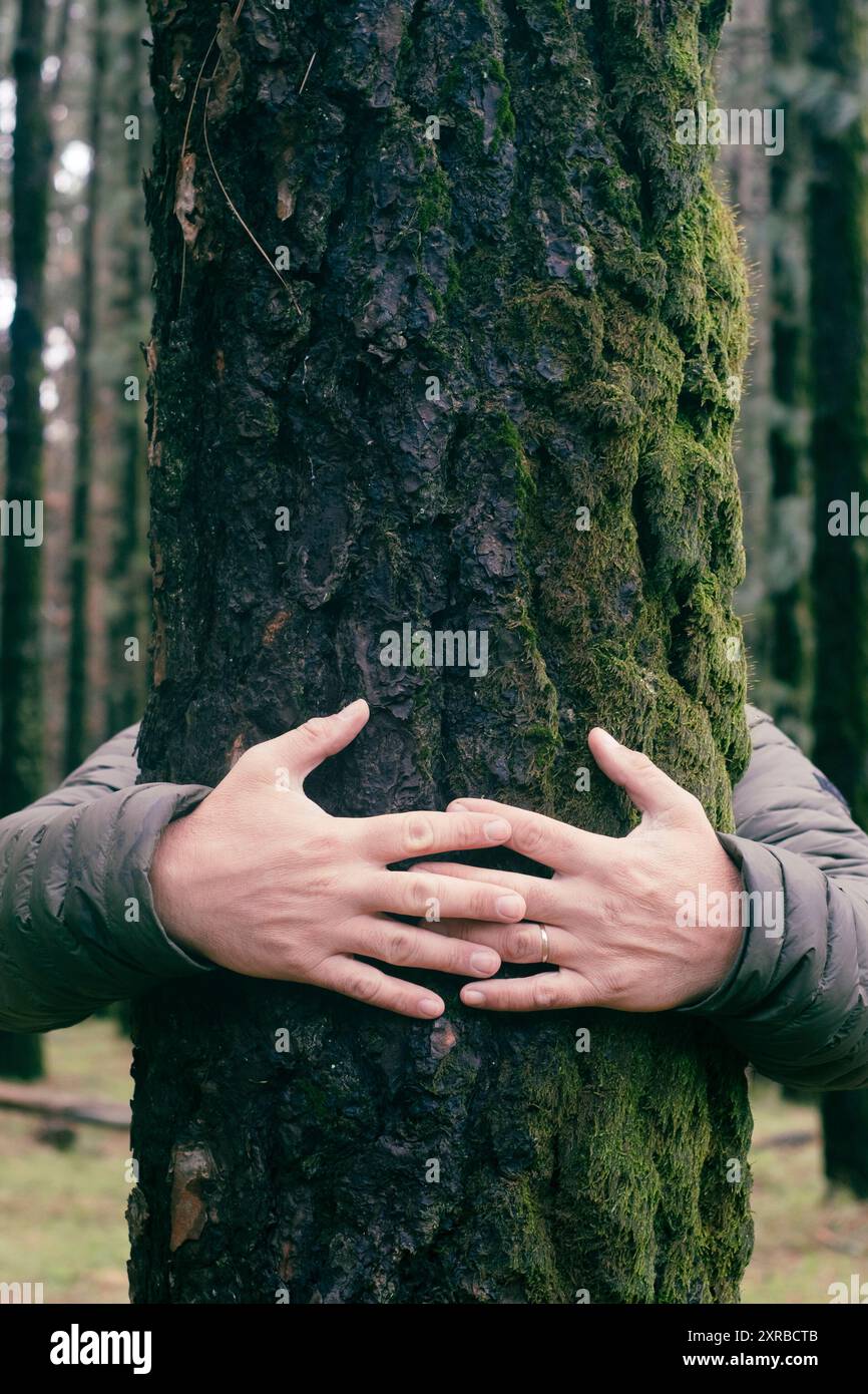 Tree deforestation activist hi-res stock photography and images - Alamy