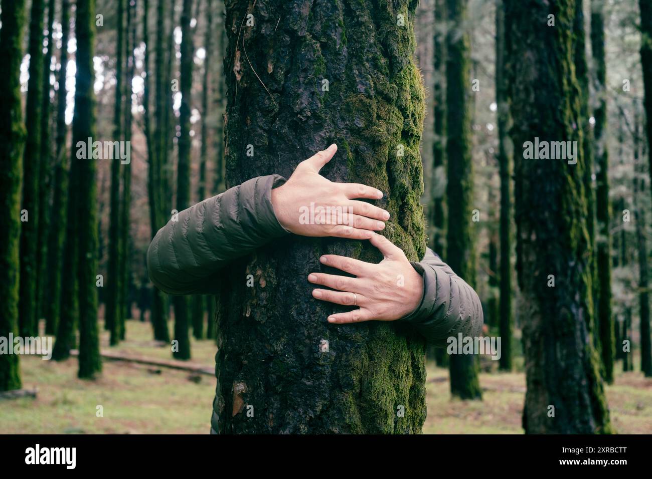 Nature lover hugging trunk tree with green musk in tropical woods ...