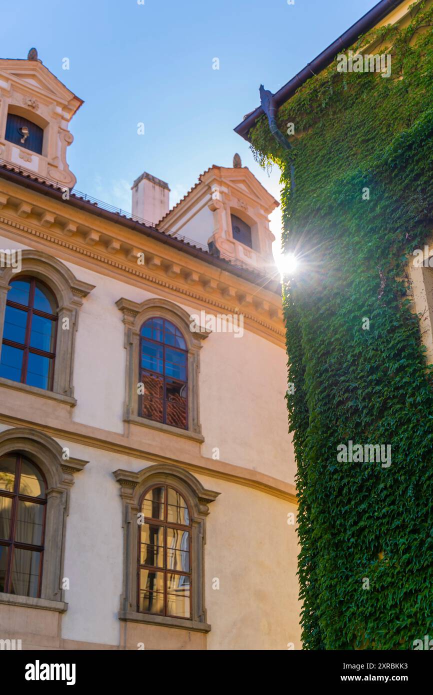 Old buildings in Prague and green ivy plants growing on wall, Europe ...