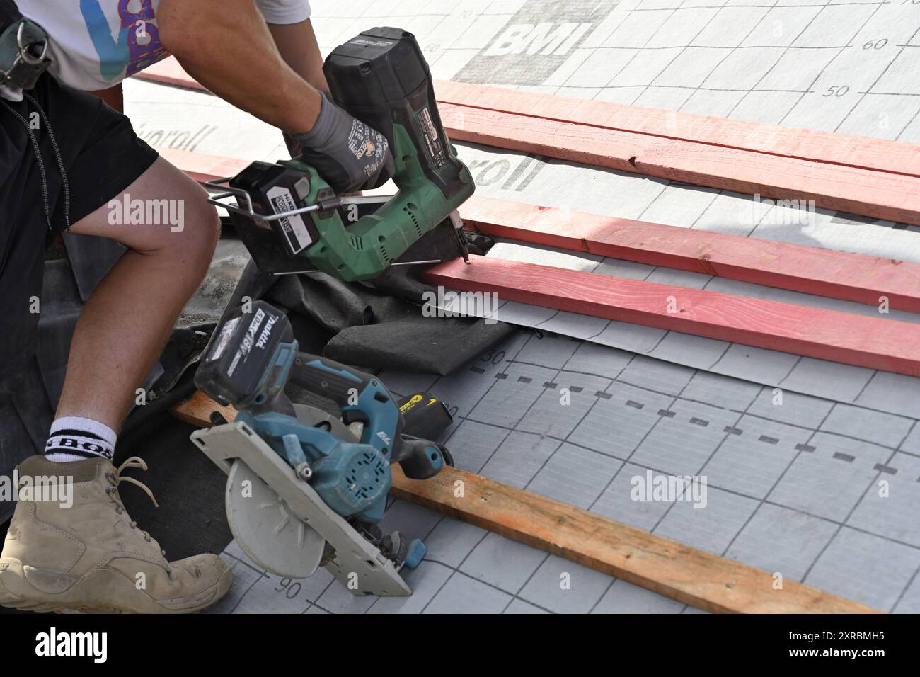 Roofing work, man using nail gun to fix new wooden battens on roofing ...