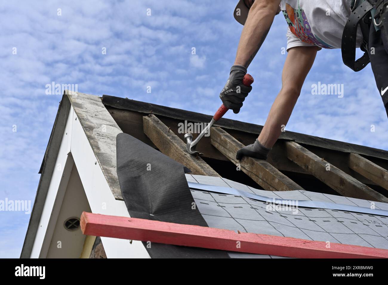 Roofing work, man on rooftop removing old felt nails with hammer to ...