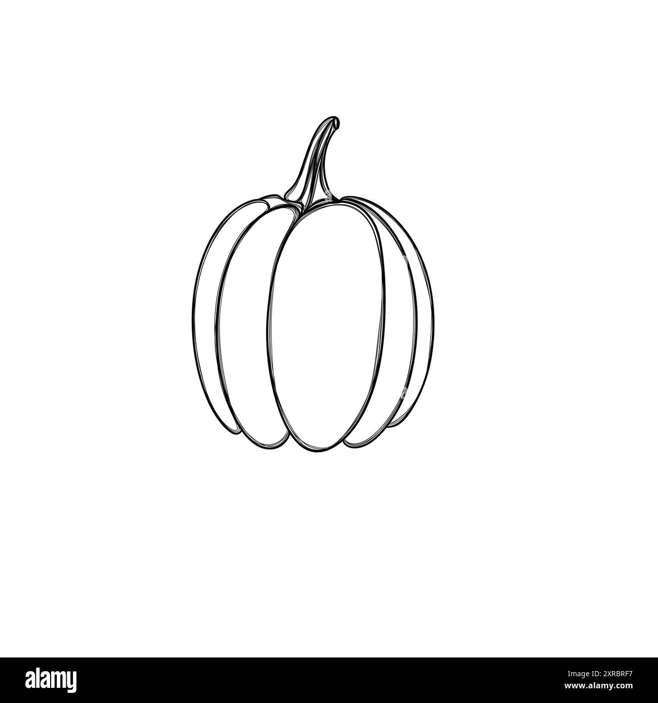 Pumpkin drawn freehand Line Art. Halloween pumpkin template Stock Photo ...