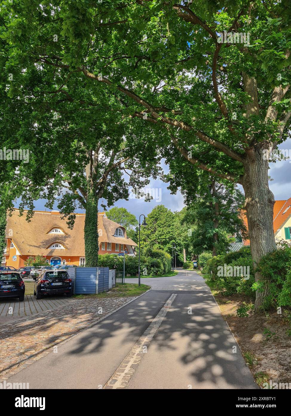 The street Küsters Allee in the sunlight on a summer's day in the ...