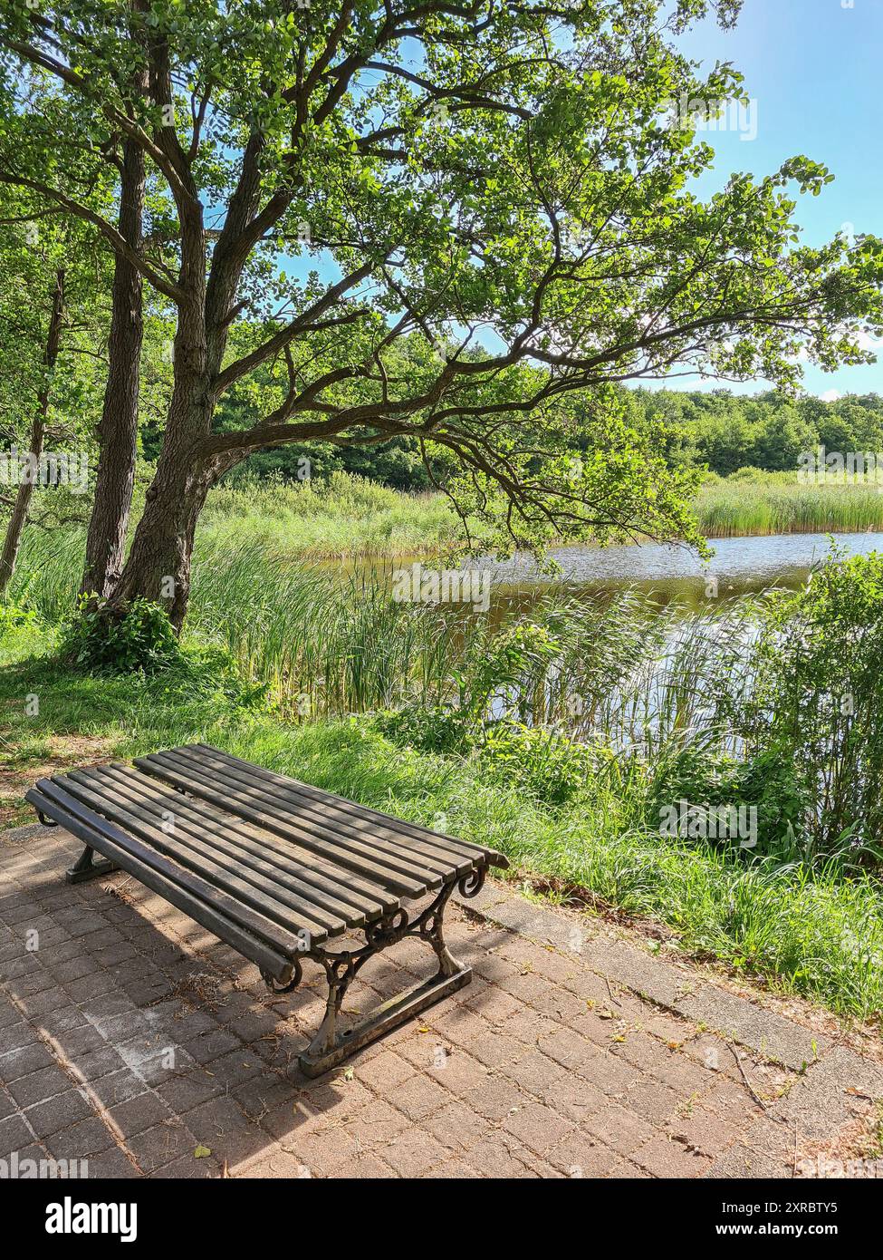 Waterfront wooden bench in early hi-res stock photography and images ...
