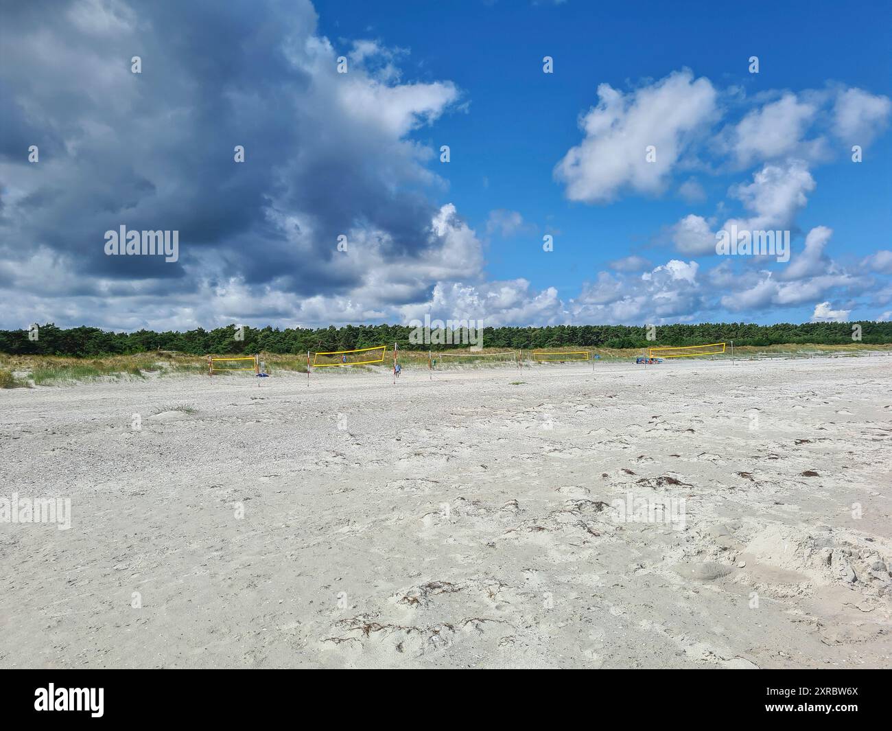 Germany, Mecklenburg-Western Pomerania, Fischland-Darß-Zingst peninsula ...