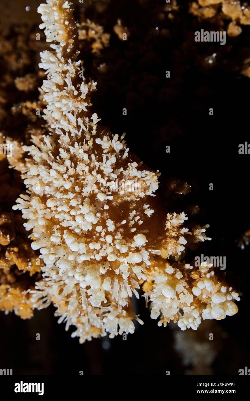 Mineral deposits in a stalactite cave Stock Photo - Alamy
