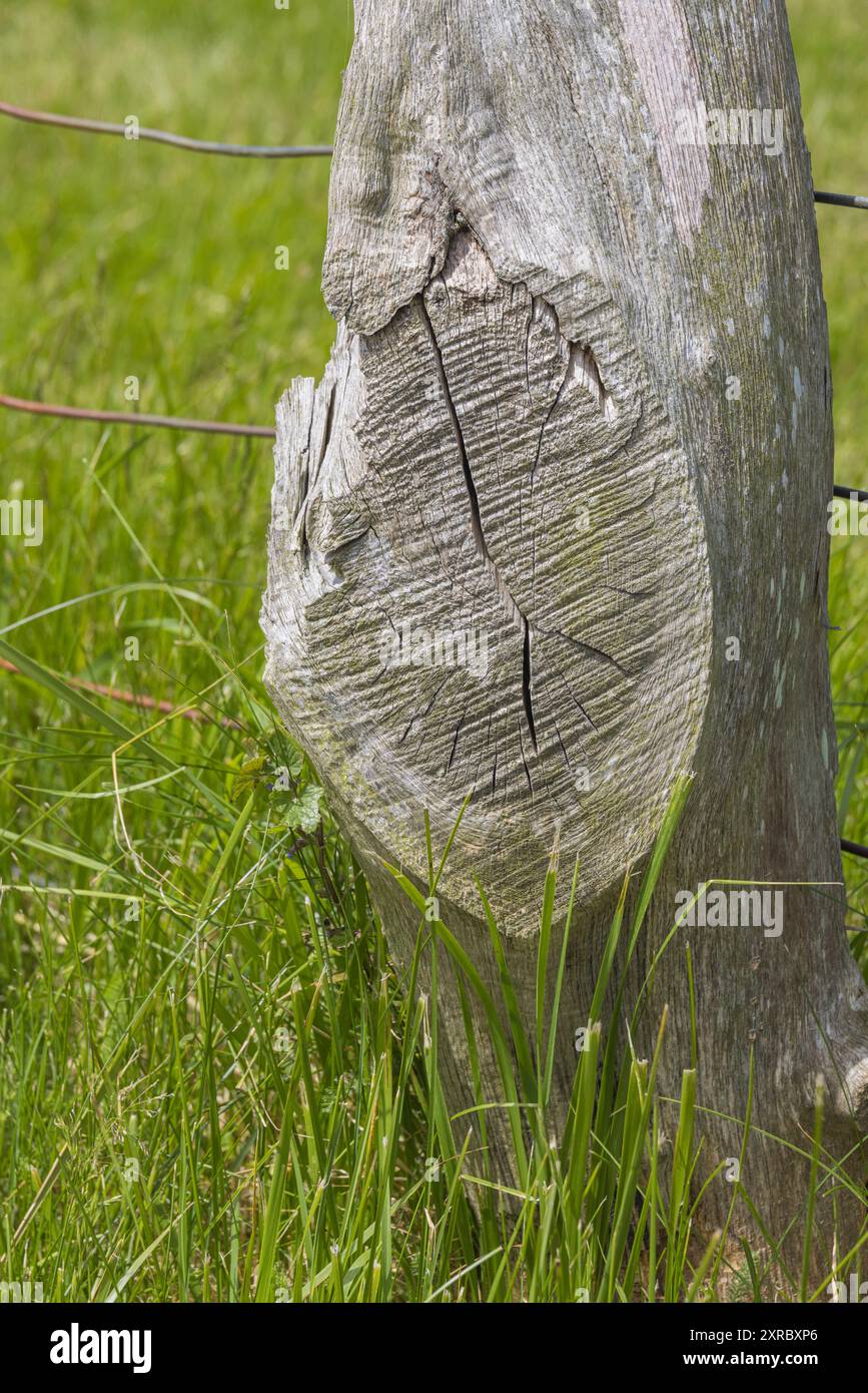 Old fence post with rusty wire fence Stock Photo - Alamy