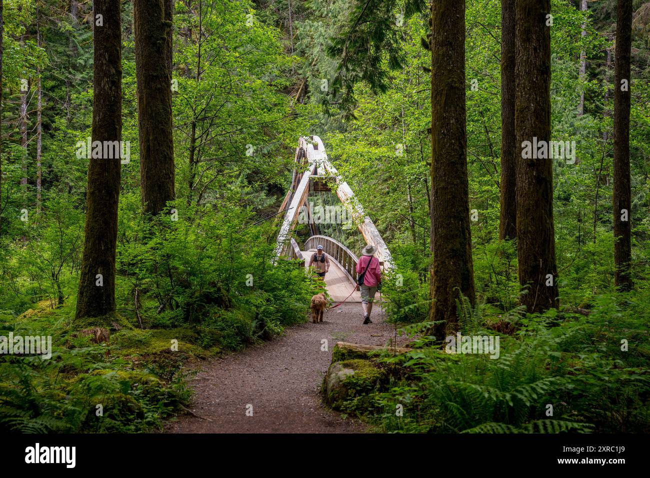 Middle fork snoqualmie river trail hi-res stock photography and images ...