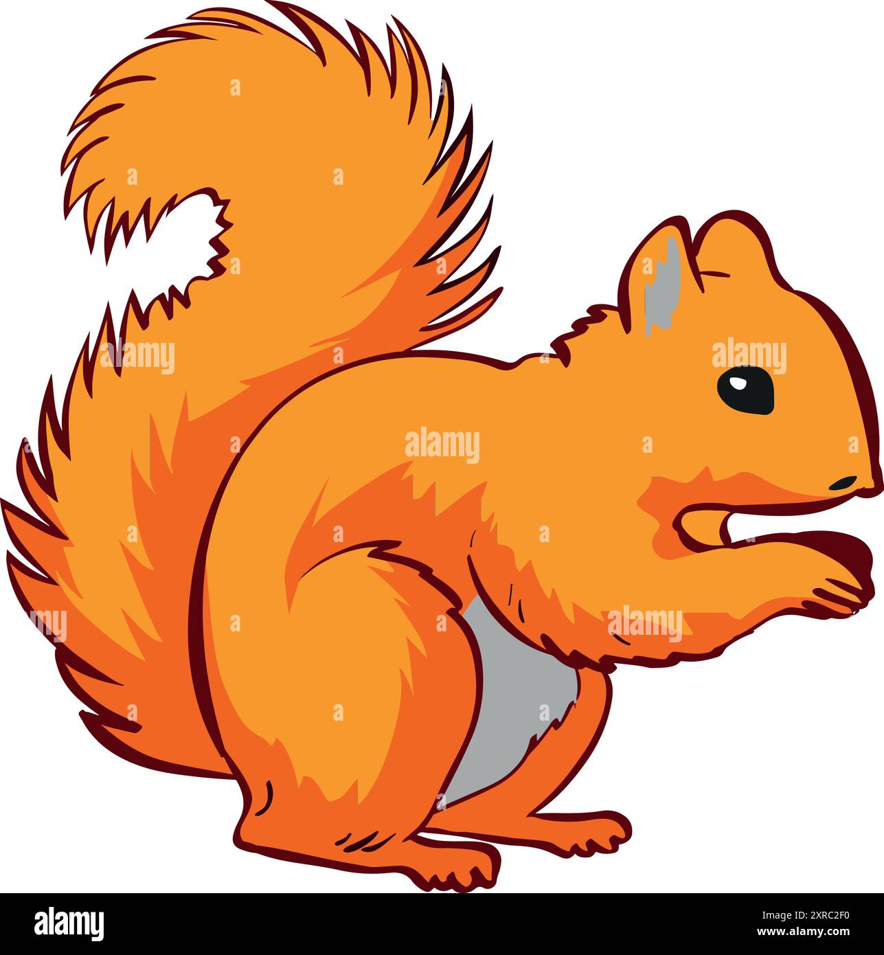 Cute Squirrel Vector Art Illustrations Stock Vector Image & Art - Alamy Cute Squirrel Vector Art Illustrations Stock Vector Image & Art - Alamy